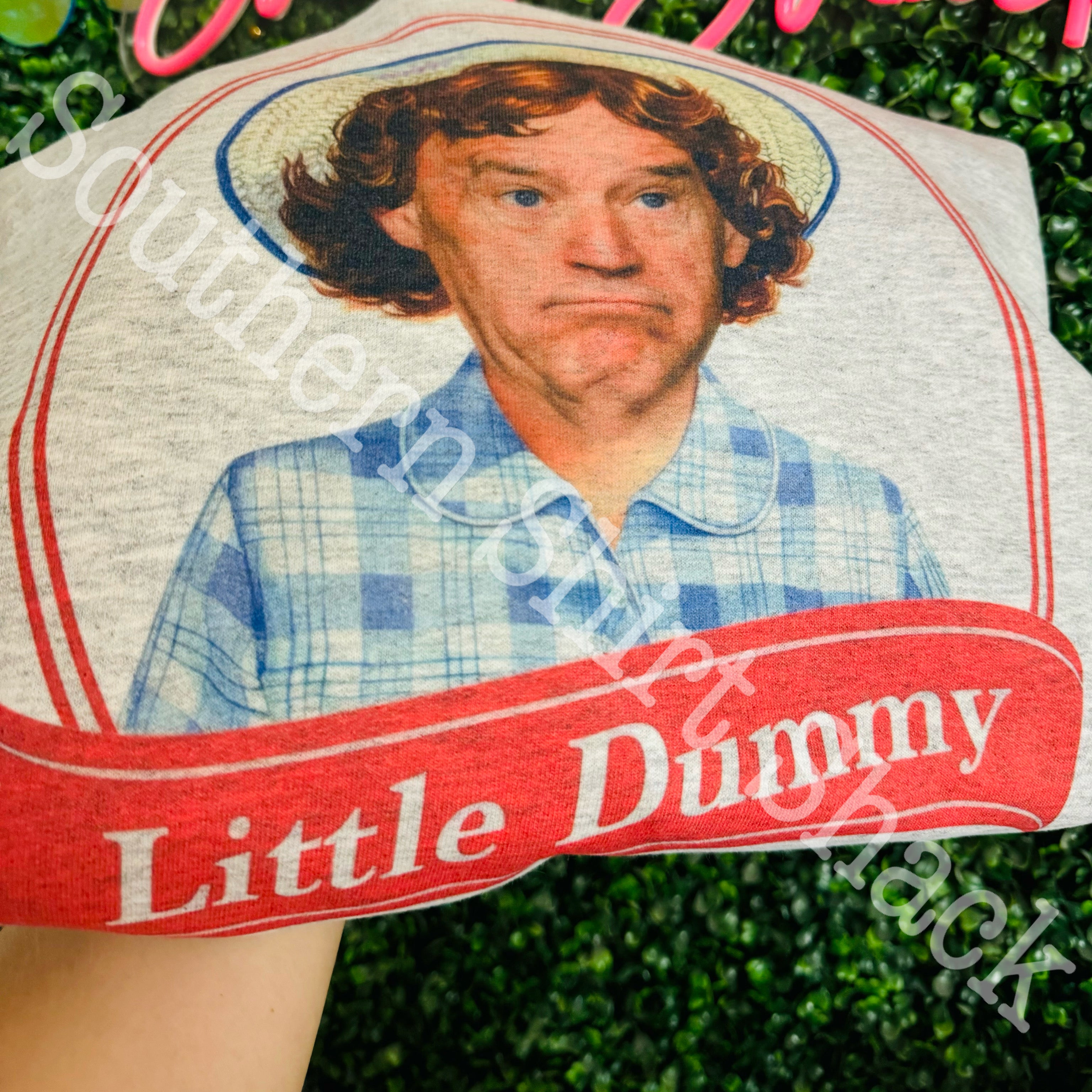 Little Dummy fjb Sweatshirt – Southern Shirt Shack